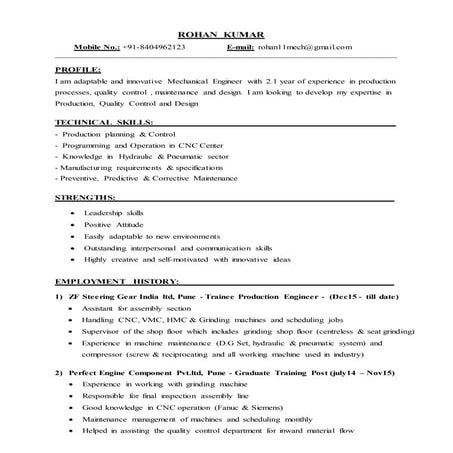 ROHAN KUMAR - CV 1 | DOCX | Business and Finance