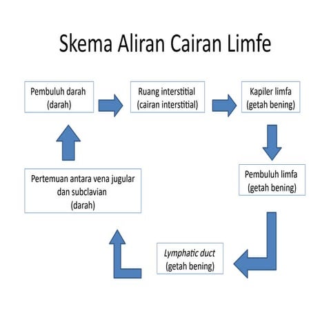 Sirkulasi-Cairan-Limfe imunologi ilmu.pptx