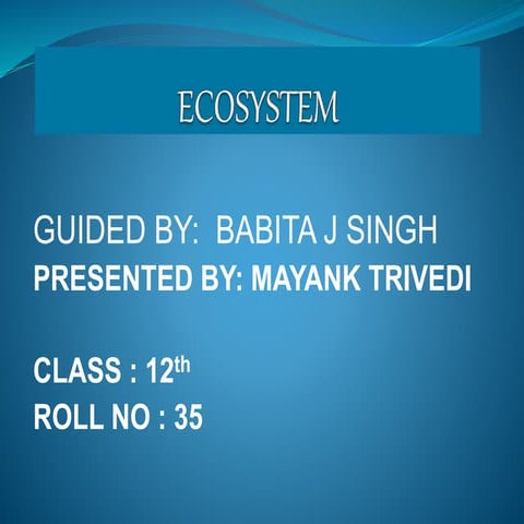 ecosystem class 12 ppt investigatory project | PPTX