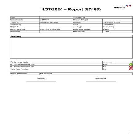 3_07_2024 Job_4_07_2024 – Report (87463) 1 TYREE.pdf