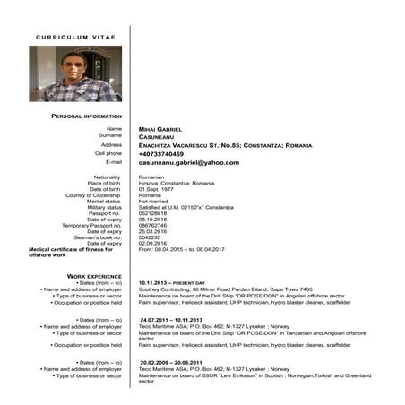 Mihai Casuneanu-CV | PDF