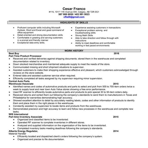 LEVIS RESUME | DOC | Logistics | Business