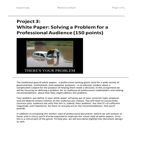 ENGL 309 Project 3 Assignment Sheet: White Paper | DOCX
