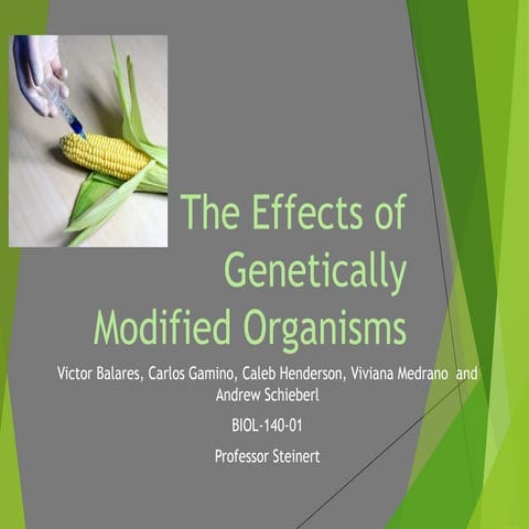 BIOL 140 GMO on agriculture PPT | PPTX
