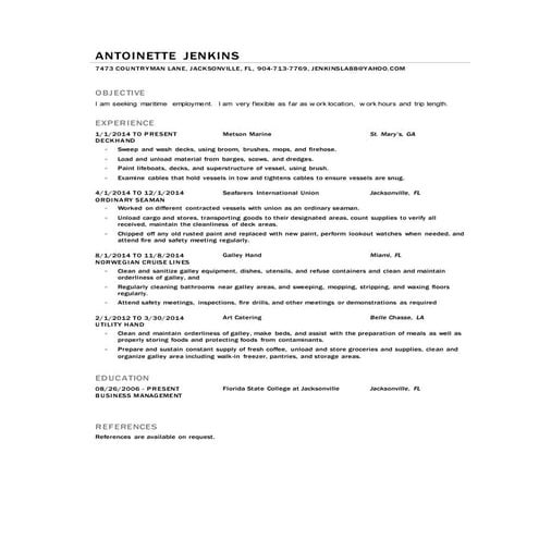 Chronological resume | DOCX