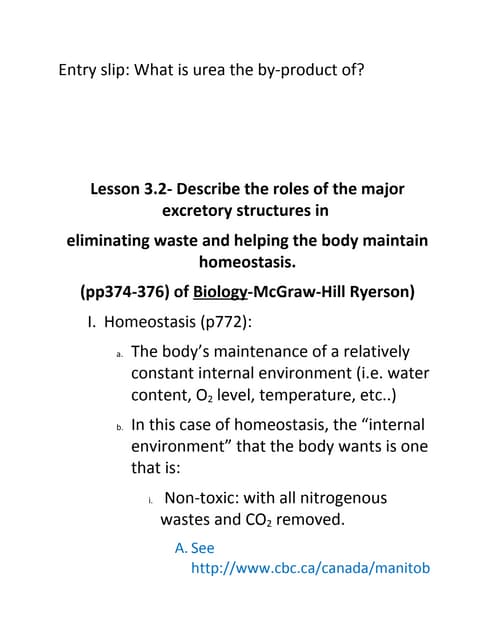 Excretoty system worksheet | PDF