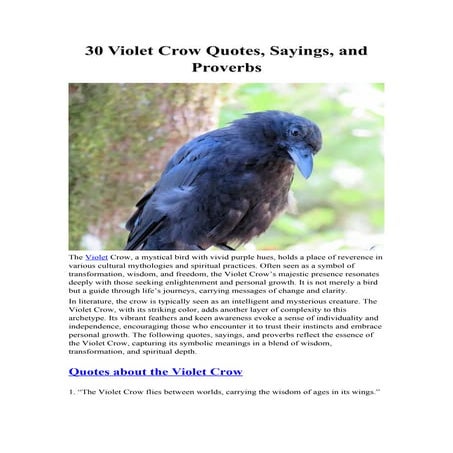 30 Violet Crow Quotes, Sayings, and Proverbs.docx