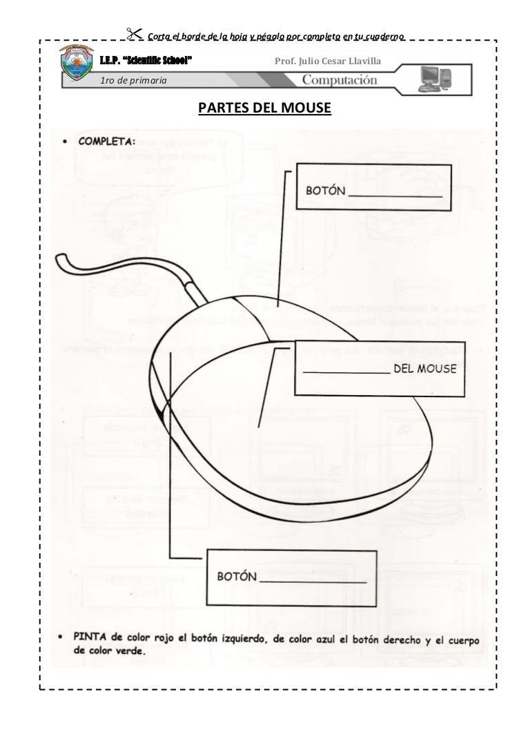 Partes Del Mouse