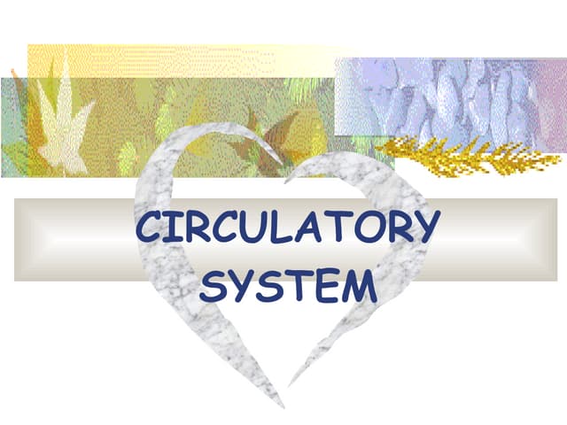 Circulatory System Ppt | PPT