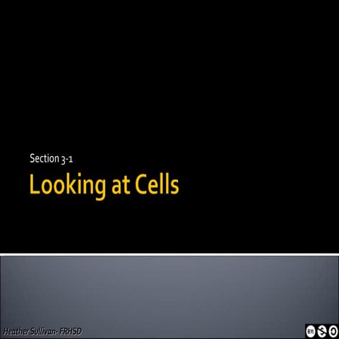 3-1 Looking At Cells Ppt | PPT