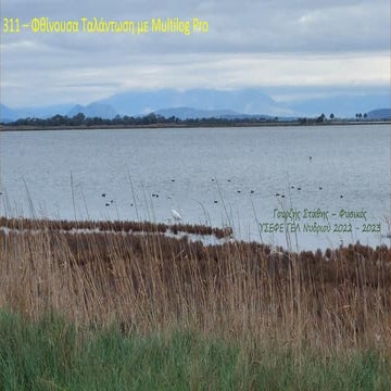 311 - AAT me MULTILOG PRO.pdf