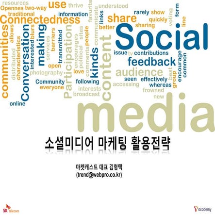 3소셜미디어 마케팅 활용전략 김형택 110721 Ppt