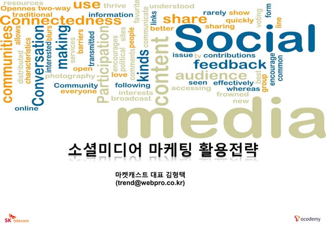 3소셜미디어 마케팅 활용전략 김형택 110721 Ppt
