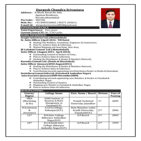 Resume - Account Executive | DOC