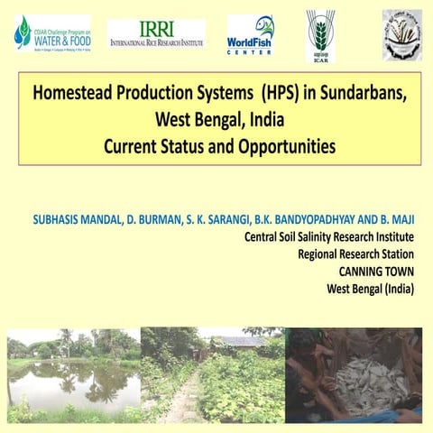 Homestead Production Systems in Sundarbans, West Bengal, India: Current ...