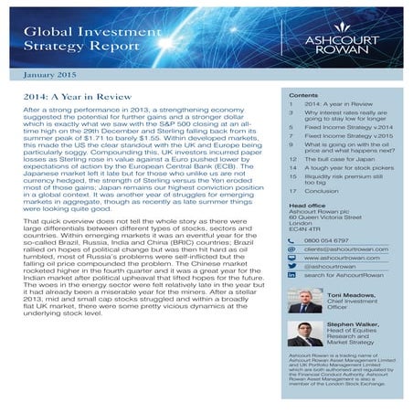 2015 Investment Strategy Report | PDF