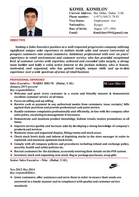 Resume Dina Labib | DOCX | Business | Business and Finance