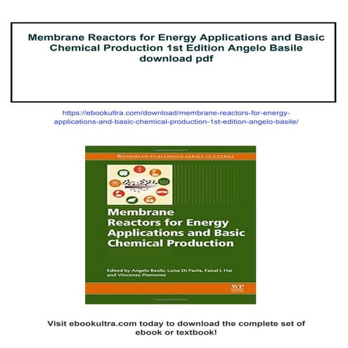 Membrane Reactors for Energy Applications and Basic Chemical Production ...