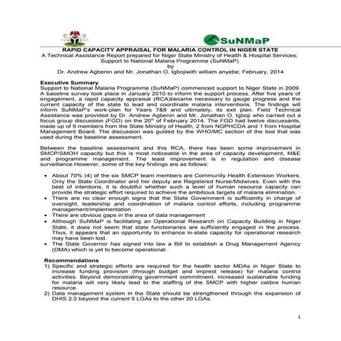 Niger State RCA draft Report | PDF