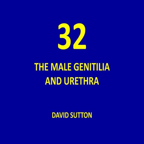 32 DAVID SUTTON PICTURES THE MALE GENITILIA AND URETHRA | PPTX