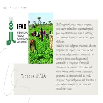 IFAD presentation template and information | PPTX