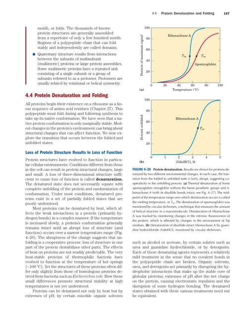 non ribosomal peptide synthesis (molecular biology) | PPT