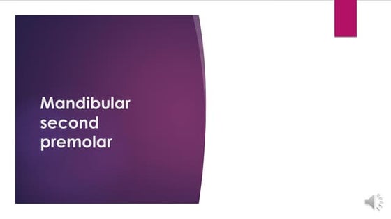 2nd Upper Premolar Anatomy | PPTX