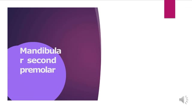 Mandibular 2nd premolars | PPTX