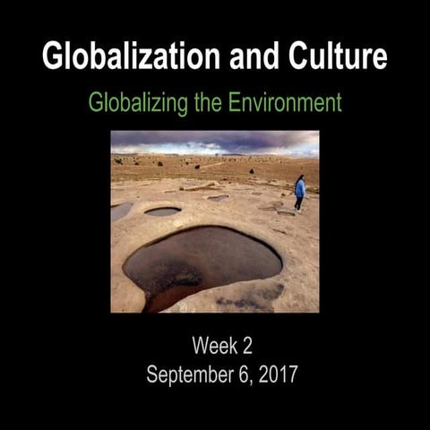 320f17 week5 | PDF