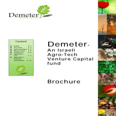 Demeter Brochure_Israeli Investors | PDF