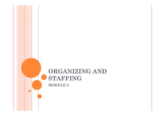 Organizational structure NURSING | PPTX