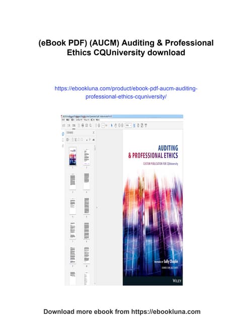 Principles of-external-auditing | PDF