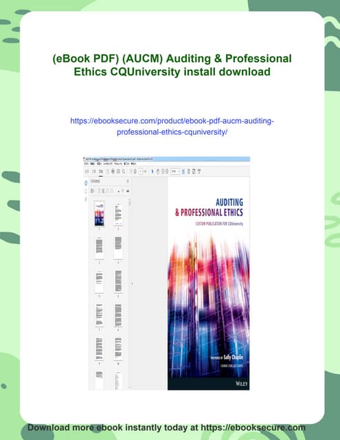Principles of-external-auditing | PDF