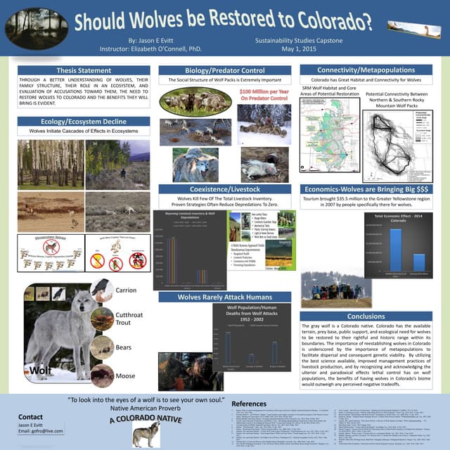 Capstone Project Poster.ppt