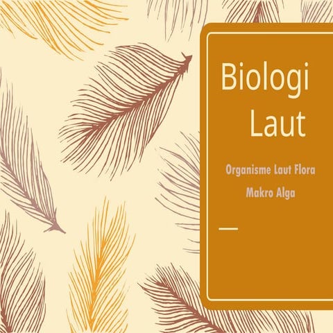 324446755-Biologi-Laut-Ppt-Makroalga.pptx