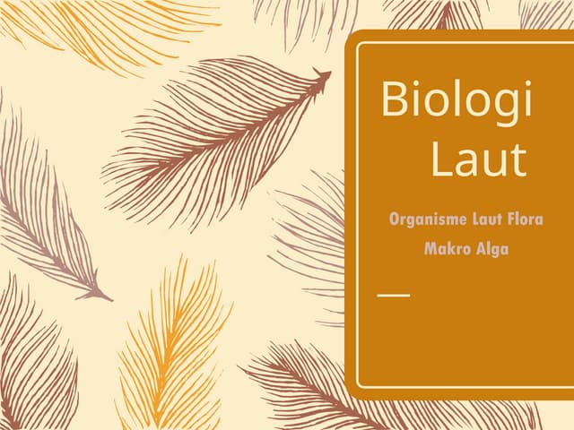 Thallophyta dan Spermatophyta diperairan.pptx