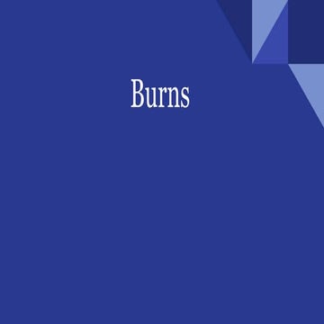 324822610-Burns.pptx