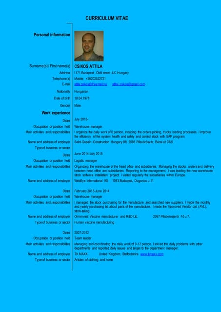 Curriculum Vitae (1) | DOC