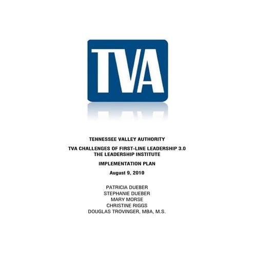 ImplementationPlan-TVA | PDF