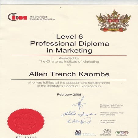 Professional Diploma in Marketing | PDF