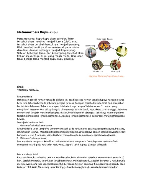 CONTOH Handout | DOCX