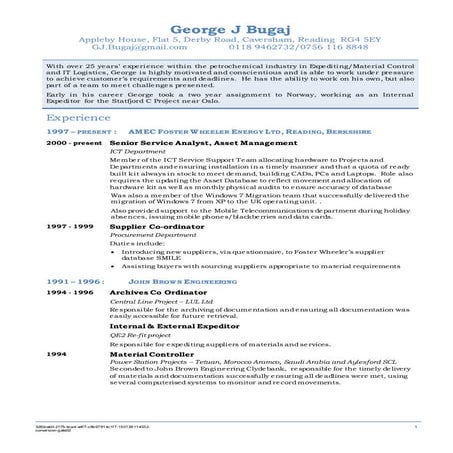 BUGAJ George CV 3 | DOCX | Information Services Industry | Industries