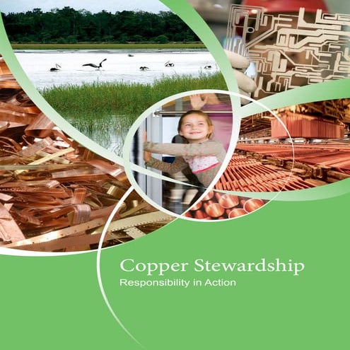Copper Stewardship brochure | PDF