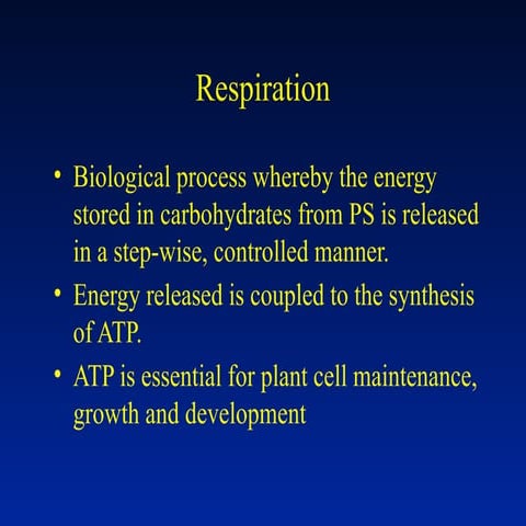 Respiration and it's mechanism.ppt_1.ppt.pptx