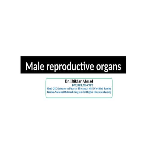 anatomy of Male Reproductive Organs.pptx