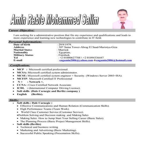 amin Rabie cv | PDF