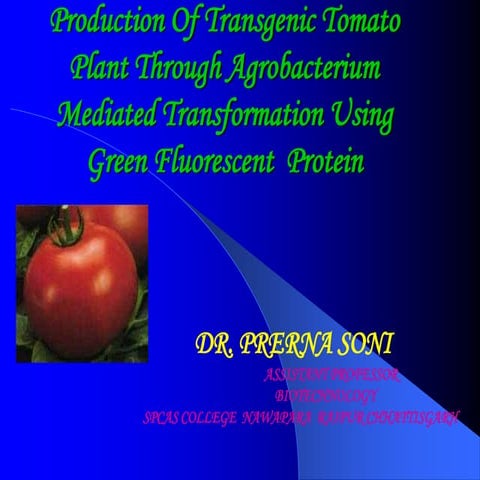 Production of transplastomic insect resistant plants; a way | PPT