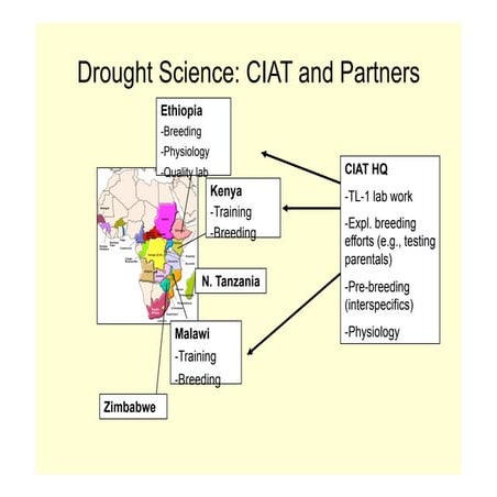 32 Steve Beebe Objective4 Work Plan | PDF | Africa Travel | Travel ...