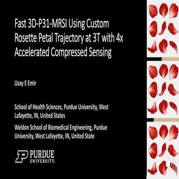 Rosette Trajectory/kspace MRI | PDF