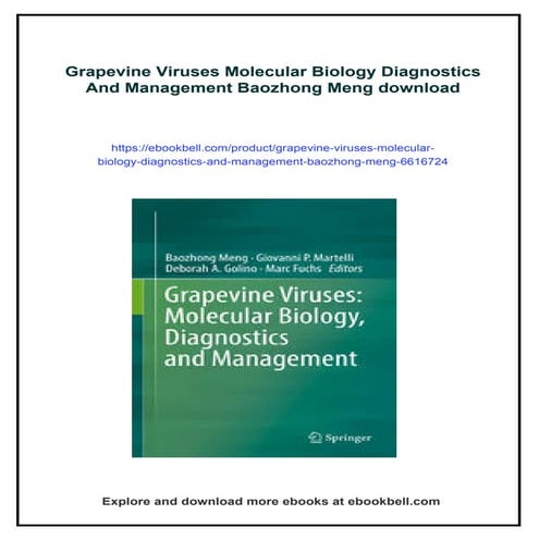 Grapevine Viruses Molecular Biology Diagnostics And Management Baozhong ...